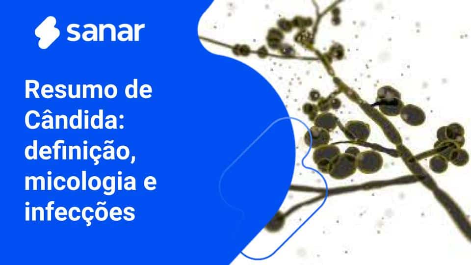 Resumo de Candida: definição, micologia e infecções - Sanarmed