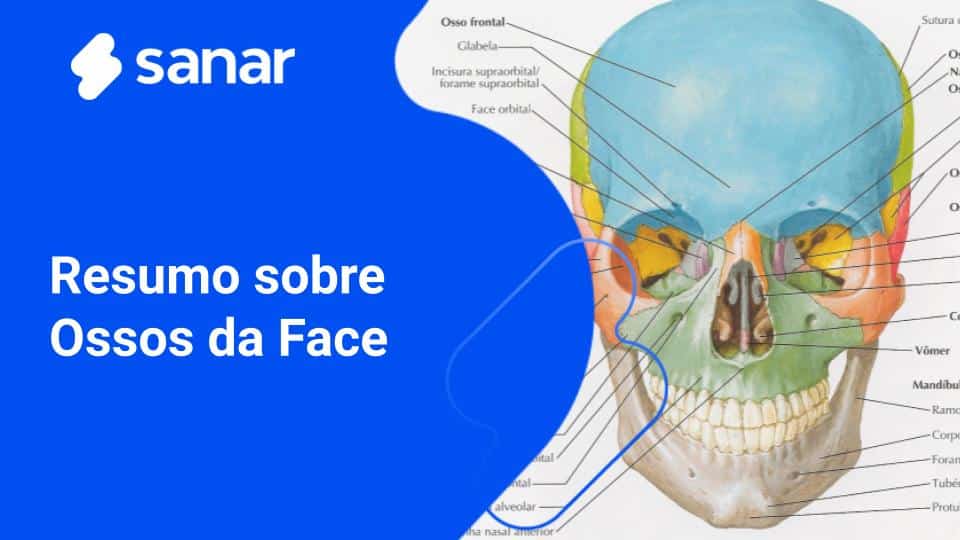 Resumo de ossos da face - Sanarmed